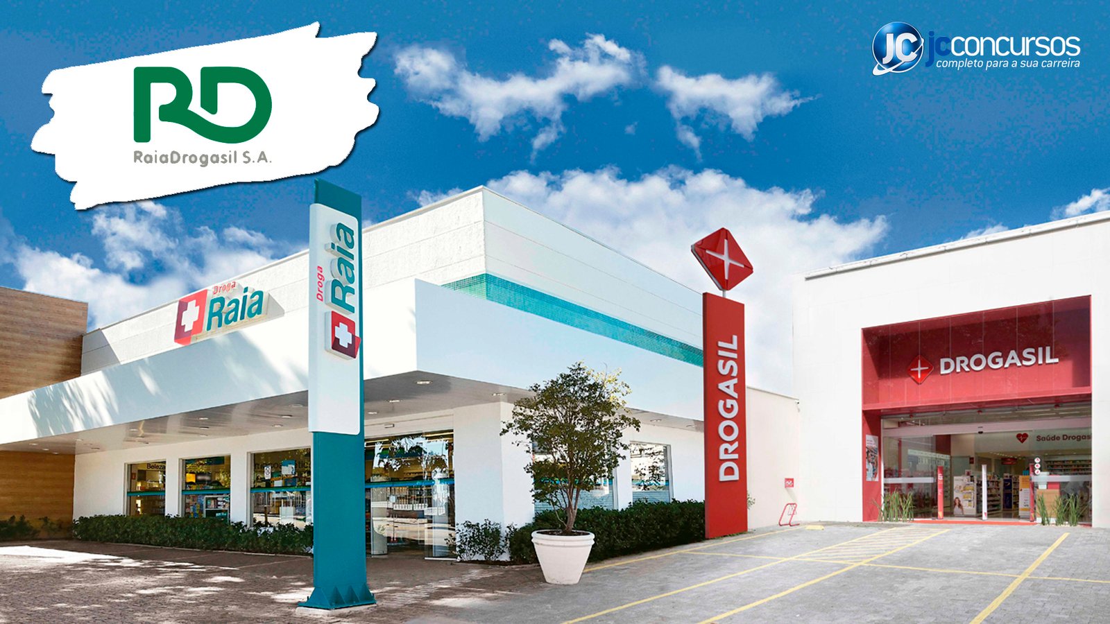 Como Trabalhar na Raia Drogasil: Vagas, Carreira e Como se Candidatar ...